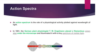 Absorption and action spectrum | PPTX