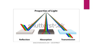 Absorption and action spectrum | PPTX