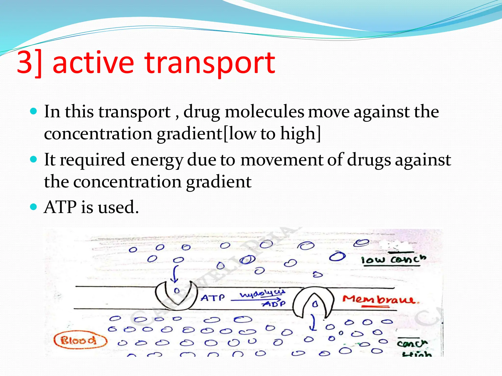 Absorption and Factors Affecting Absorption (1).pdf