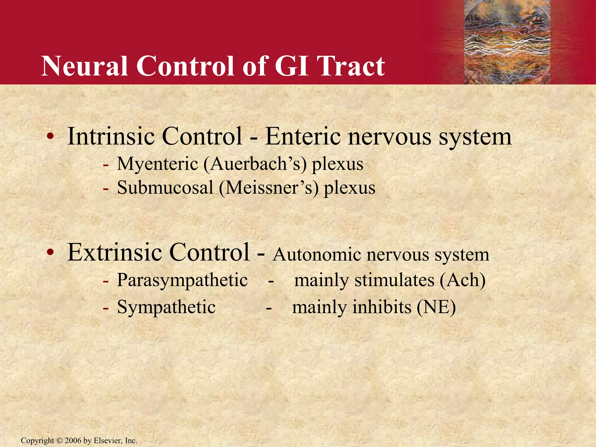 Absorption and neural control of digestion | PPT
