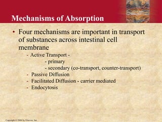 Absorption and neural control of digestion | PPT
