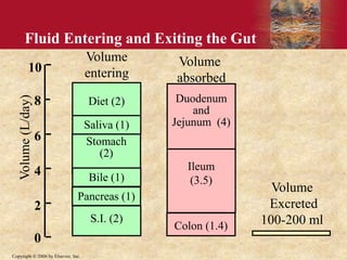 Absorption and neural control of digestion | PPT