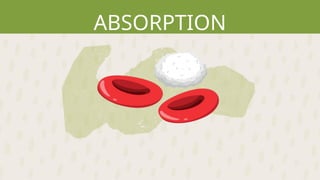 Absoption, assimilation, exertion and digestion | PPTX