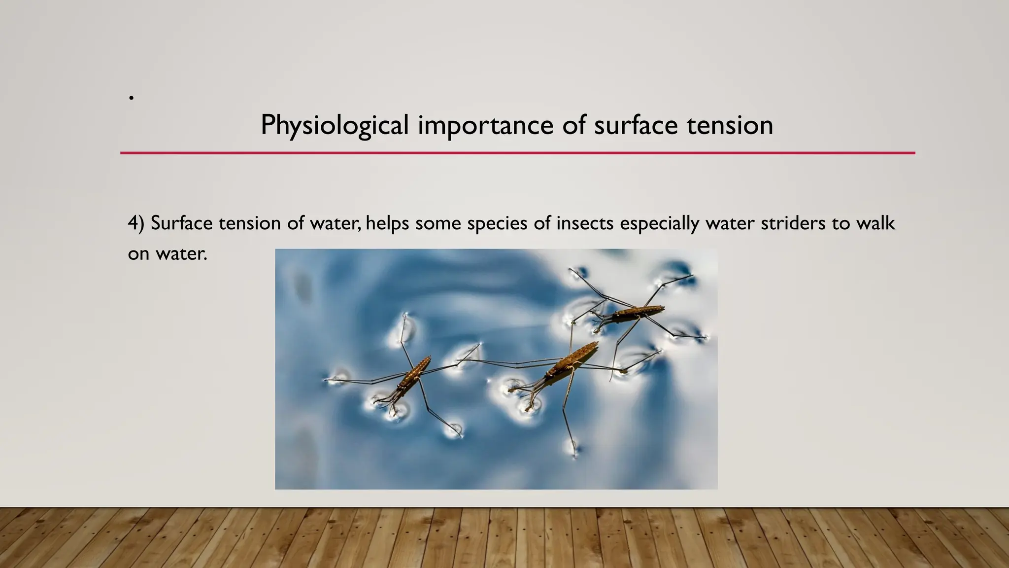 ABSORPTION, assimilation, surface tension.pptx