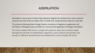 ABSORPTION, assimilation, surface tension.pptx