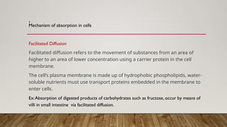 ABSORPTION, assimilation, surface tension.pptx