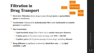 Pharmacokinetics: Membrane Transport and Drug Absorption | PPTX