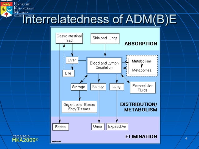 Absorption, distribution, metabolism & elimination | PPT | Endocrine ...