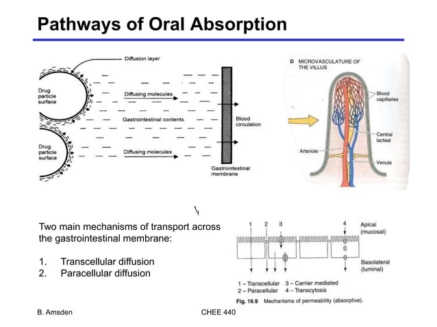 Absorption: Physicochemical Properties of Drug | PPT