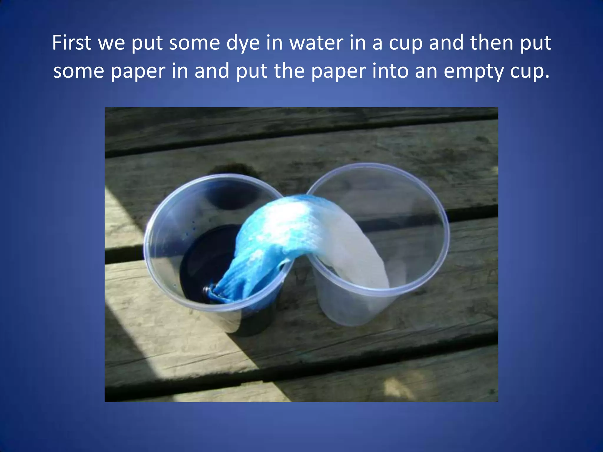 Absorption experiment | PPTX | Chemistry | Science