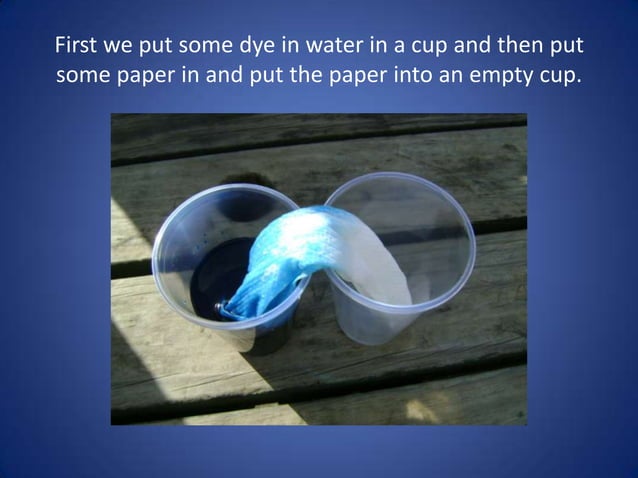 Absorption experiment | PPTX | Chemistry | Science