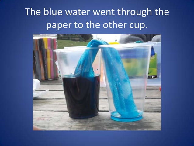 Absorption experiment | PPTX | Chemistry | Science