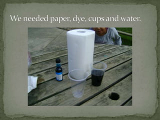 Absorption experiment | PPTX