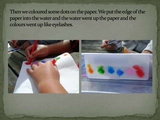 Absorption experiment | PPTX