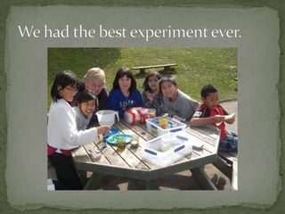 Absorption experiment | PPTX