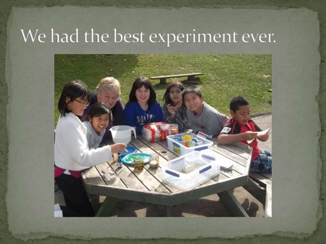 Absorption Experiment Pptx