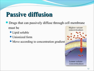 Absorption in pharmacology | PPT