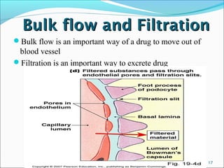 Absorption in pharmacology | PPT