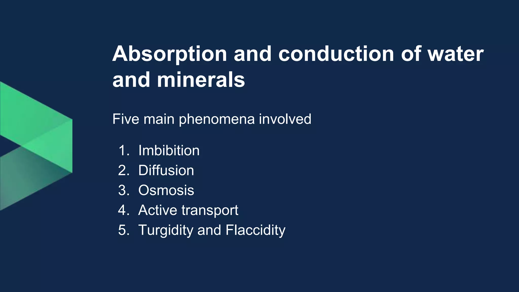 Absorption in plants icse | PPTX