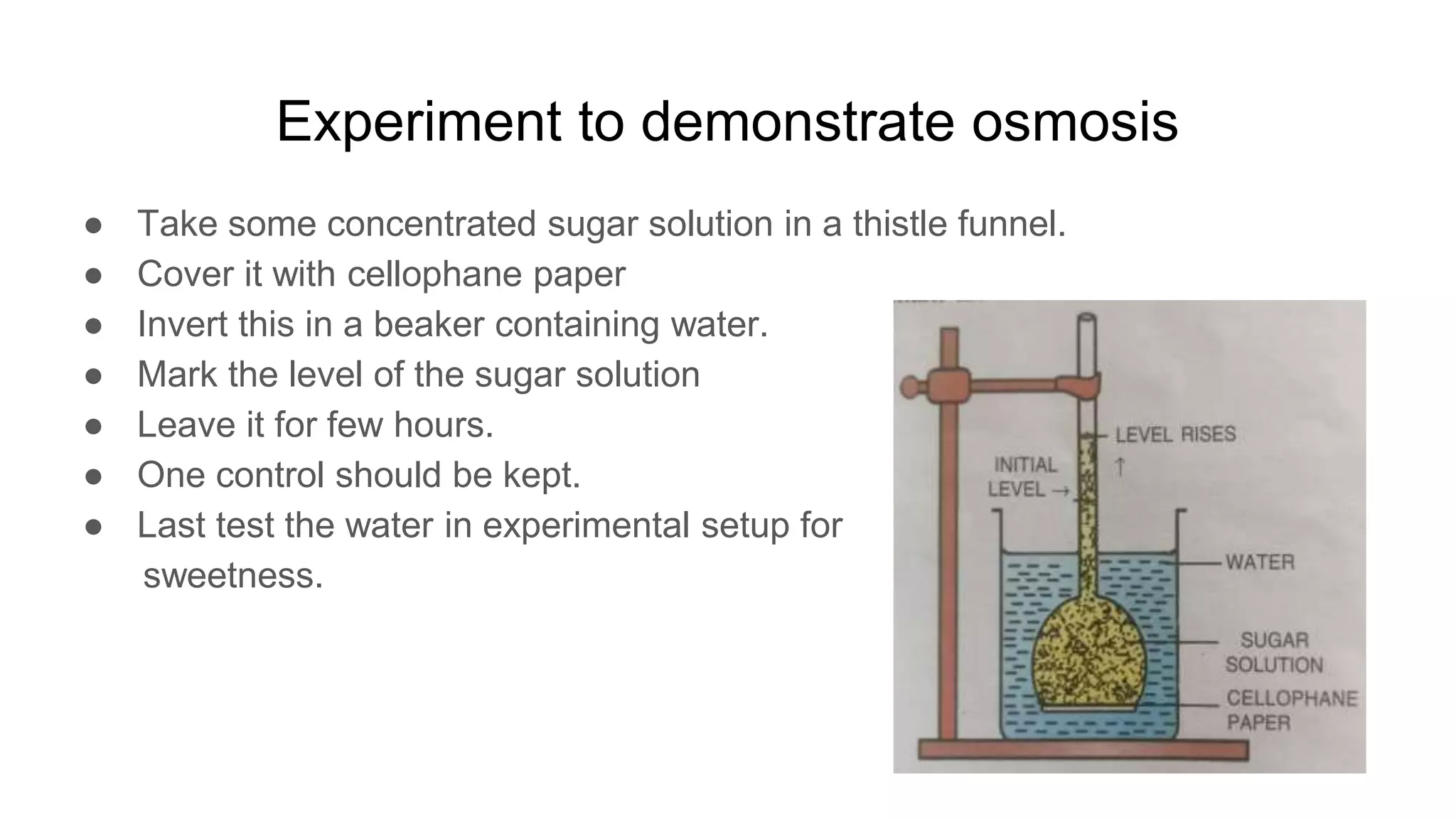 Absorption in plants icse | PPTX