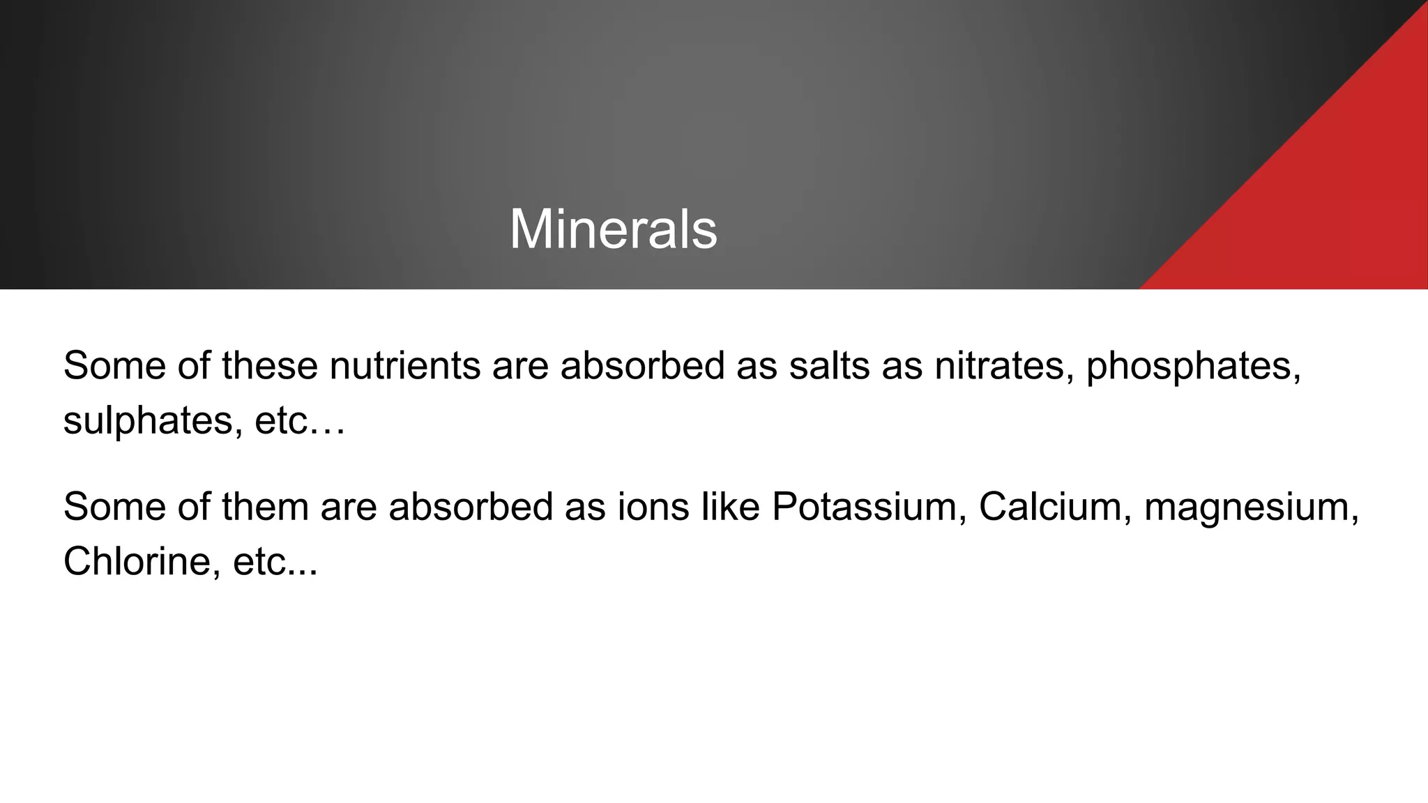 Absorption in plants icse | PPTX