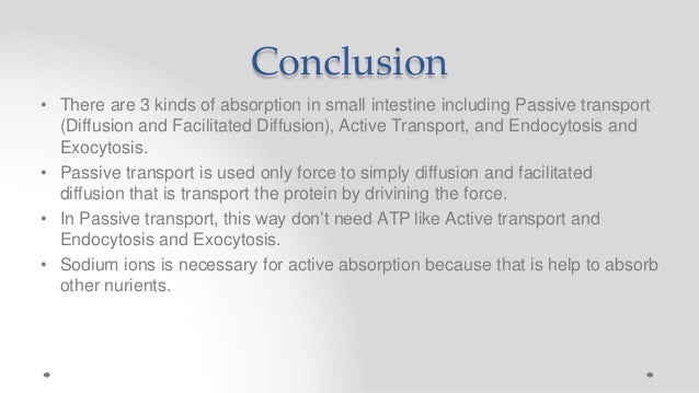 Description of small intestine.pptx