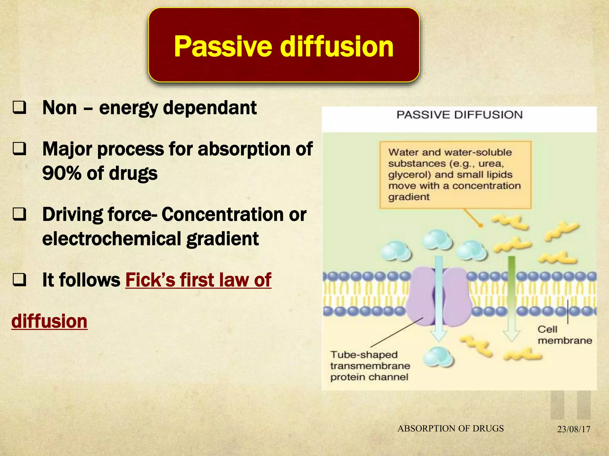 Absorption of drugs | PPTX