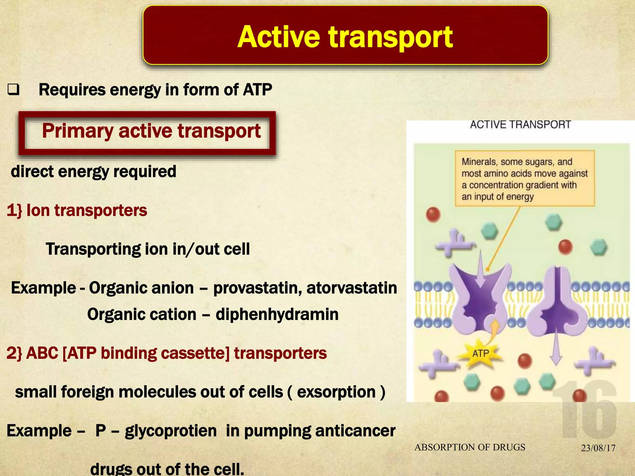 Absorption of drugs | PPTX
