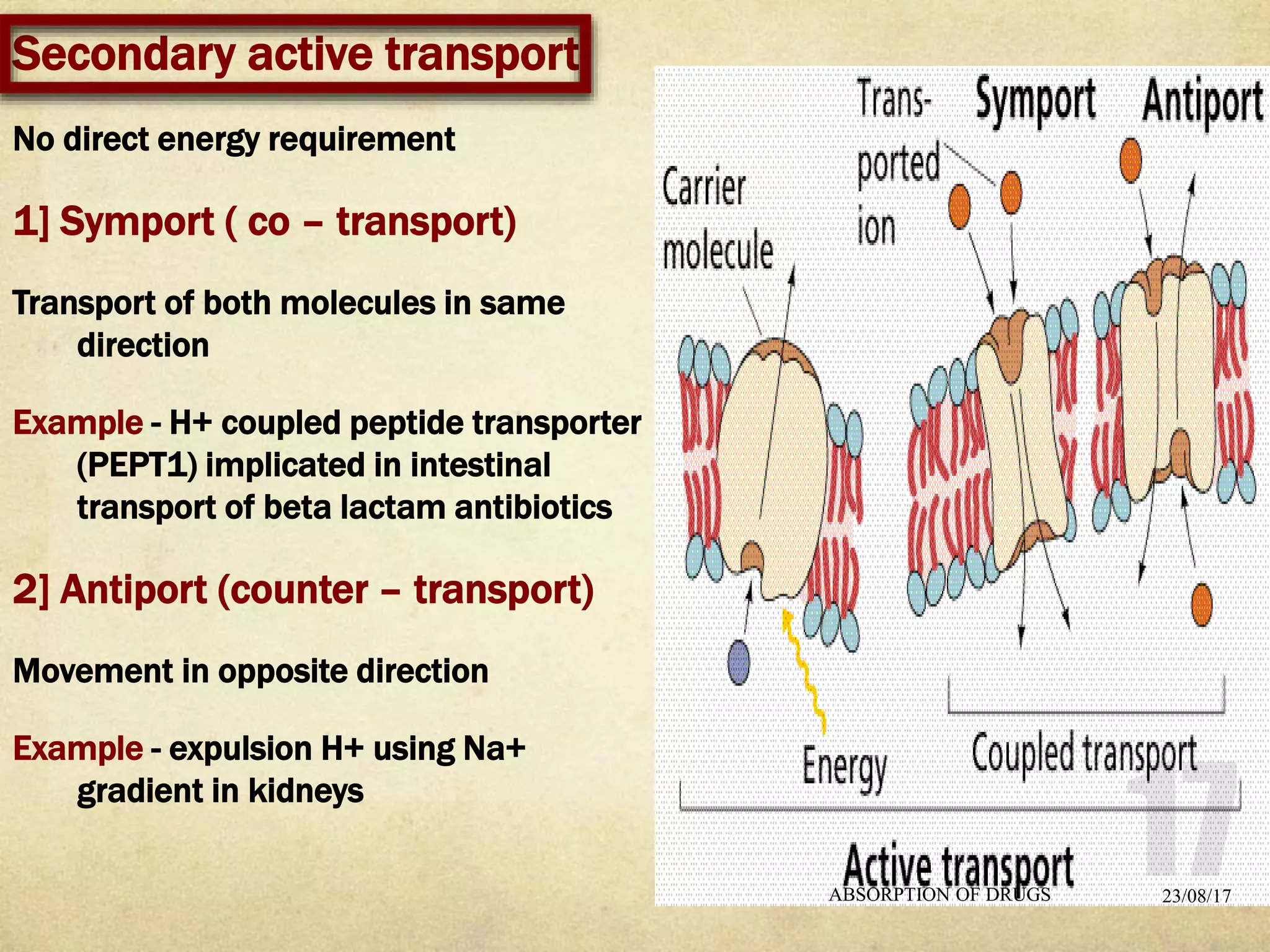 Absorption of drugs | PPTX
