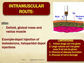 Absorption of drugs | PPTX