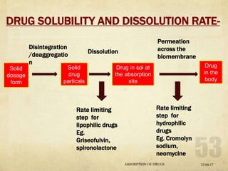 Absorption of drugs | PPTX