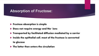 Absorption of carbohydrate | PPTX