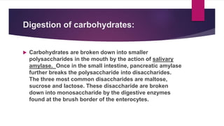 Absorption of carbohydrate | PPTX