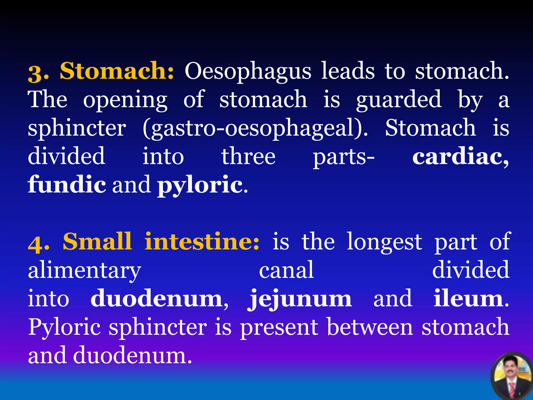 Absorption of digested food | PPTX