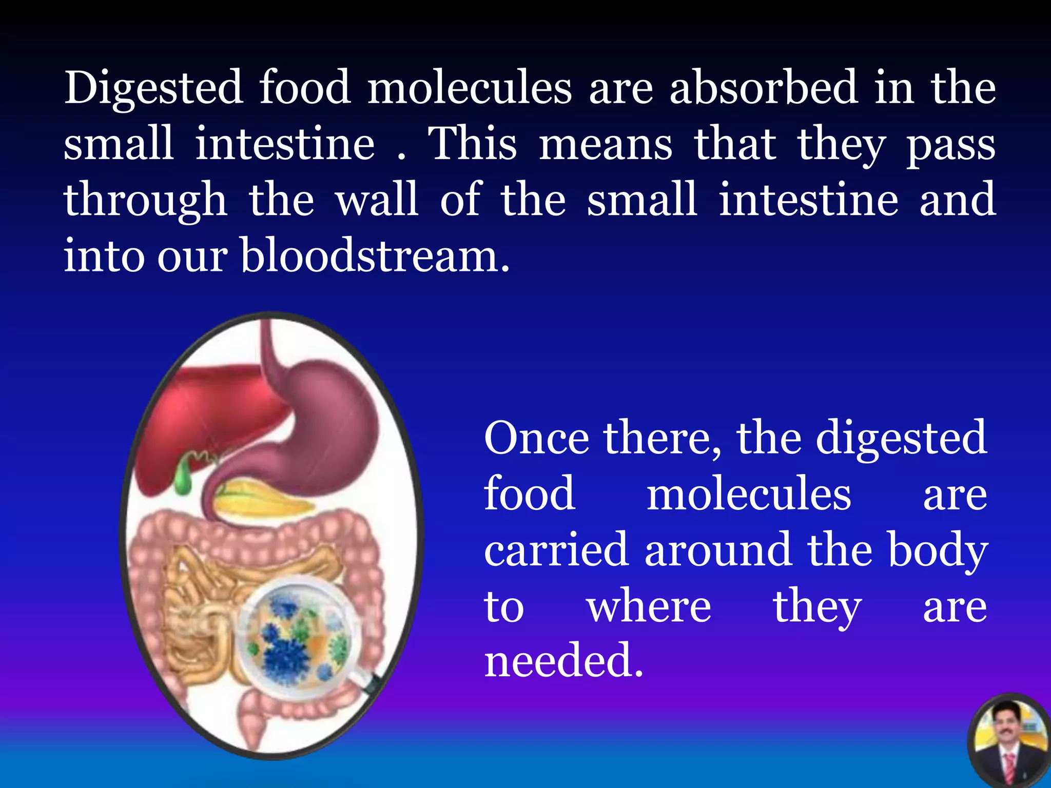 Absorption of digested food | PPTX