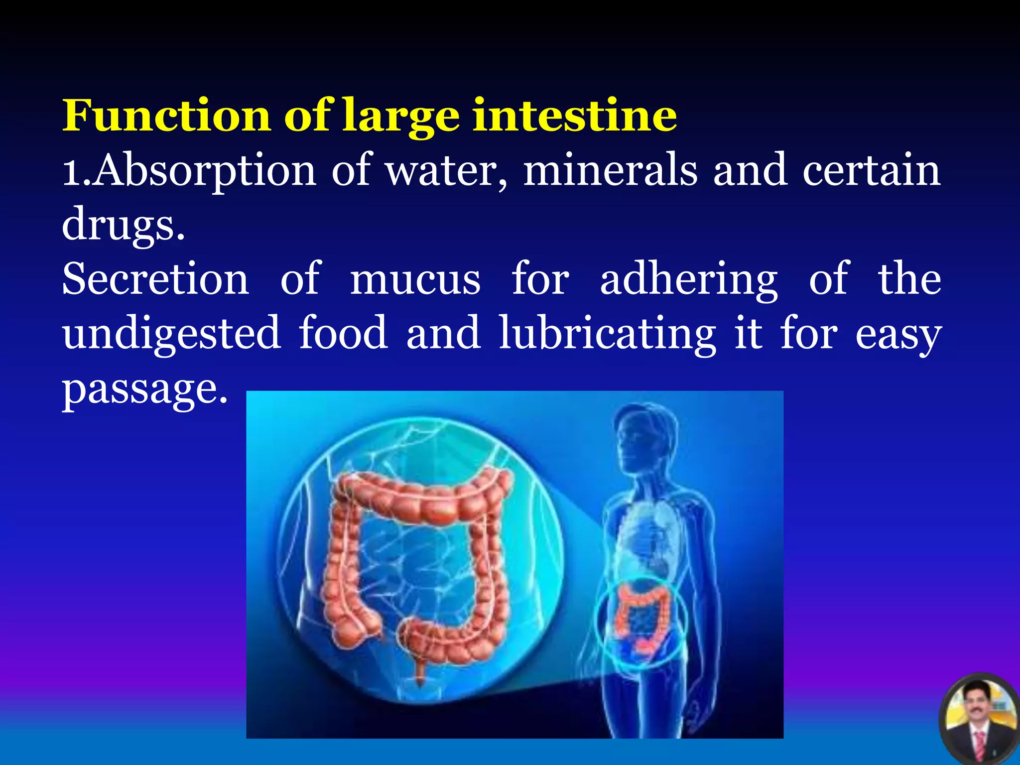 Absorption of digested food | PPTX