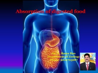 Absorption of digested food | PPTX