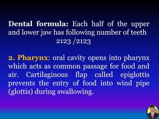 Absorption of digested food | PPTX