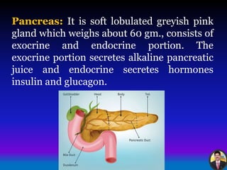 Absorption of digested food | PPTX