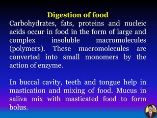 Absorption of digested food | PPTX