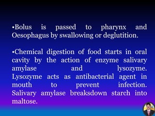 Absorption of digested food | PPTX