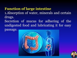 Absorption of digested food | PPTX