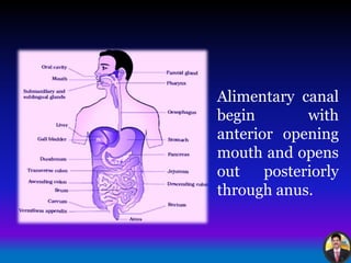 Absorption of digested food | PPTX