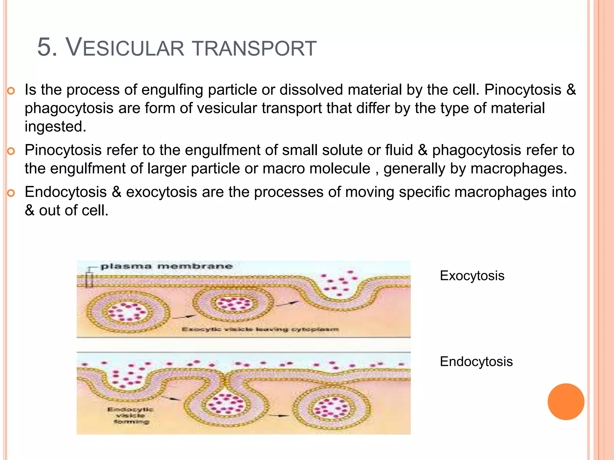 Absorption of drug | PPTX