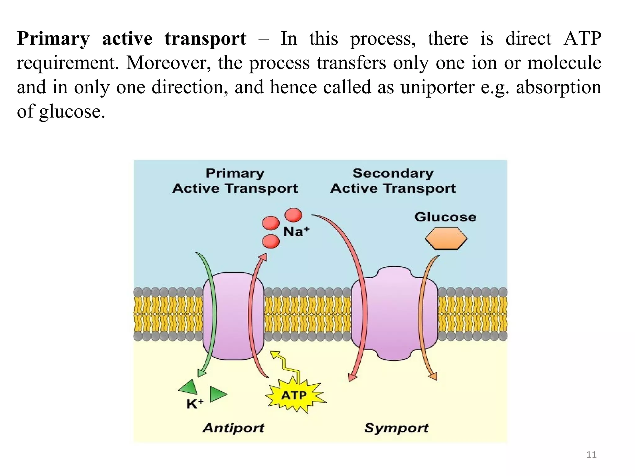 MECHANISMS OF DRUG ABSORPTION | PPT