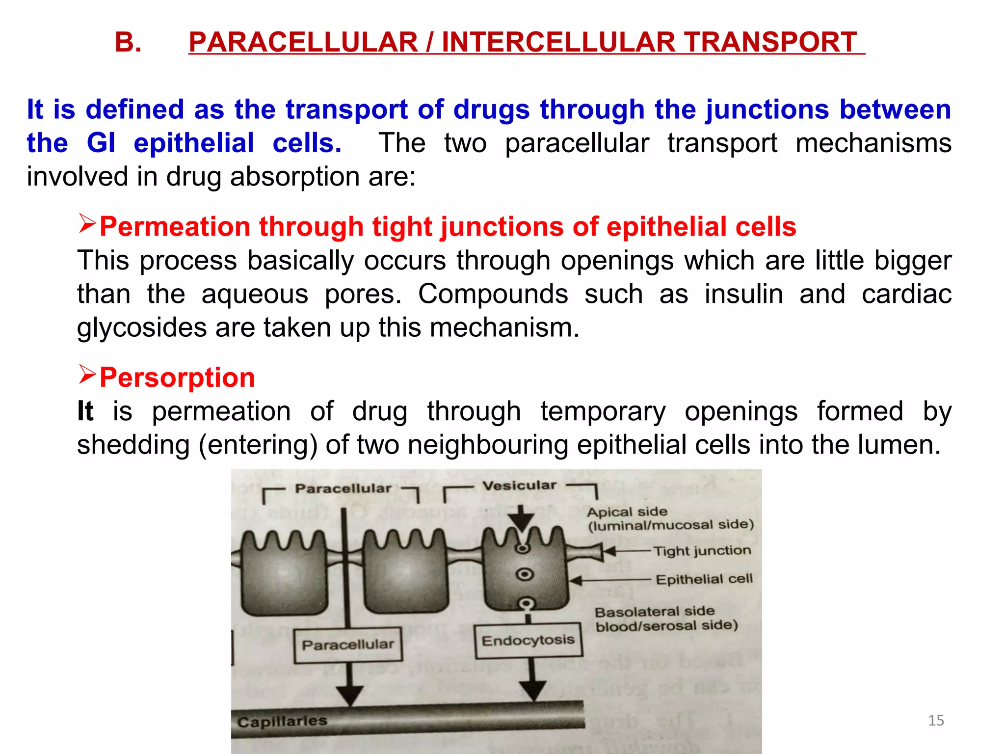 MECHANISMS OF DRUG ABSORPTION | PPT
