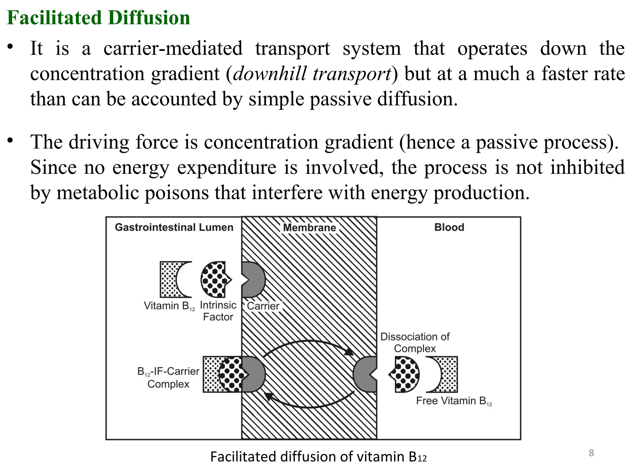 MECHANISMS OF DRUG ABSORPTION | PPT