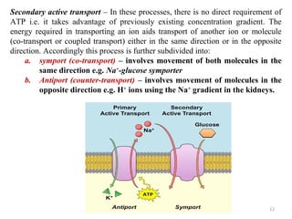 MECHANISMS OF DRUG ABSORPTION | PPT
