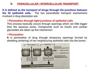 MECHANISMS OF DRUG ABSORPTION | PPT