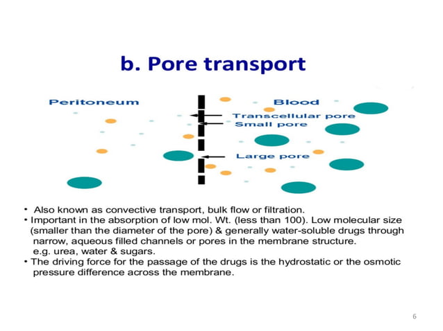 MECHANISMS OF DRUG ABSORPTION | PPT | Chemistry | Science